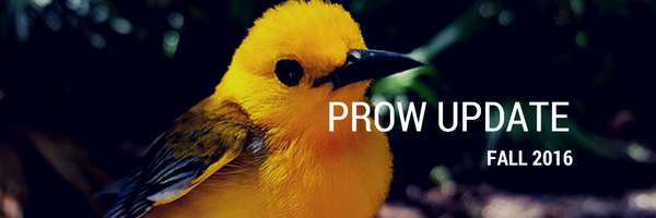 prow_update_email_header.png | Audubon Delta